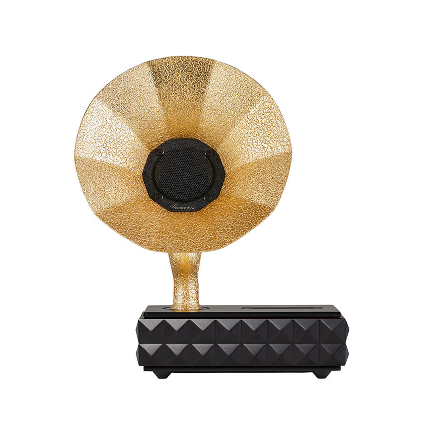 Solid Gold Speaker - Acoustibox