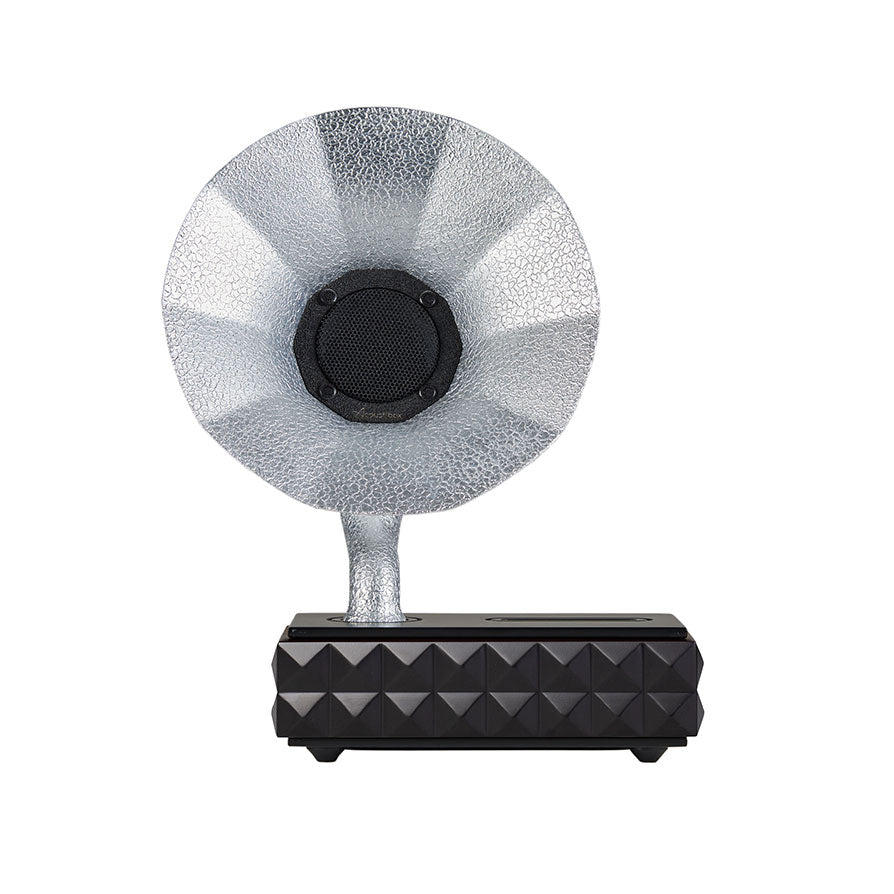 Solid Silver Speaker - Acoustibox